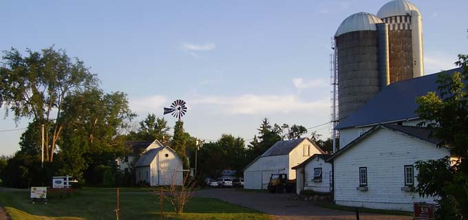 Activities - Community Homestead